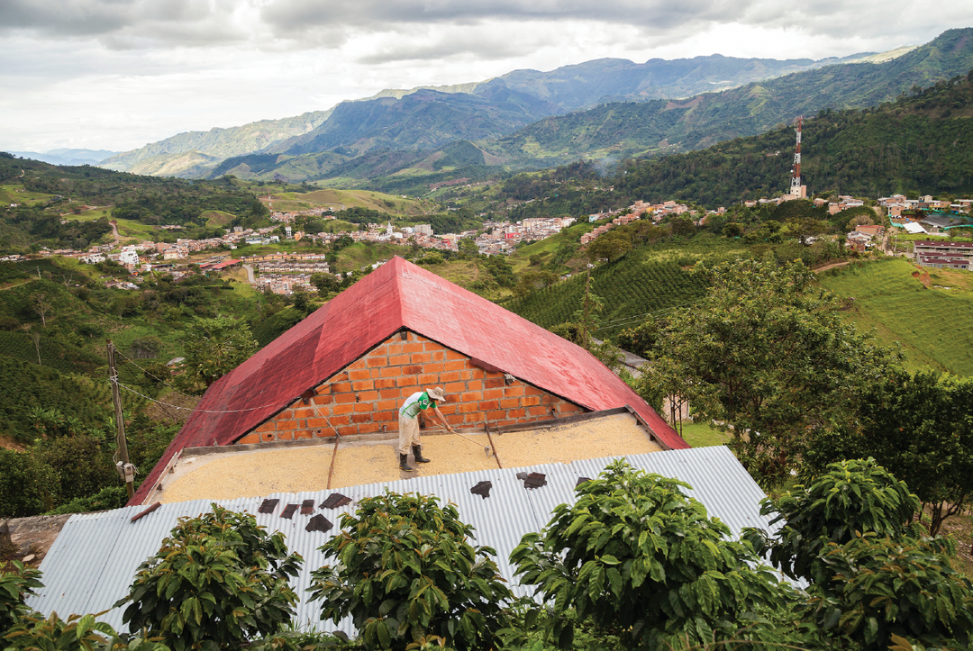 Current Commodity Systems – CURRENT COMMODITY SYSTEMS